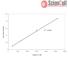 MTT Cell Viability & Proliferation Assay (MT10 )