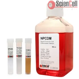 Neural Precursor Cell Differentiation Medium (NPCDM )