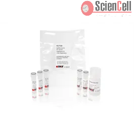 SARS-CoV-2 RT-qPCR Detection Kit (SCVPD)