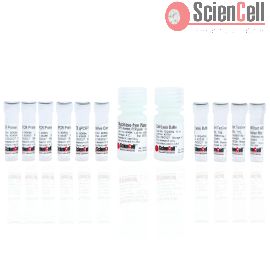 人类APOE基因分型实时荧光定量PCR检测试剂盒 (APOE) | Sciencell Research Laboratories
