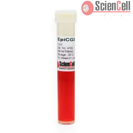 Epithelial Cell Growth Supplement-2 (EpiCGS-2 ) | Sciencell...