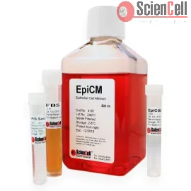 Epithelial Cell Medium (EpiCM)