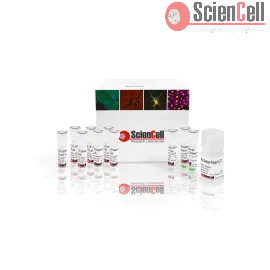 GeneQuery™ HLA-B PCR+Sanger SBT Typing Kit (SBT-B)