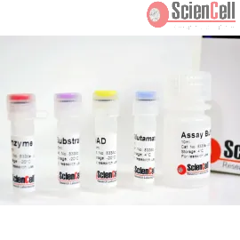 Glutamate Assay (GLU )
