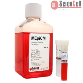 Mammary Epithelial Cell Medium (MEpiCM )