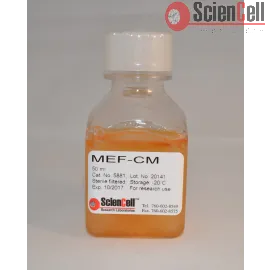 Mouse Embryonic Fibroblast-Conditioned Medium (MEF-cm) | Sciencell...
