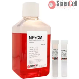 Neural Precursor Cell Medium (NPrCM) | Sciencell Research Laboratories