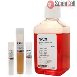 Nucleus Pulposus Cell Medium (NPCM)