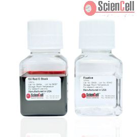 Oil Red O Staining Kit (ORed) | Sciencell Research Laboratories