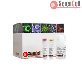 Relative Human Telomere Length Quantification qPCR Assay Kit (RHTLQ)