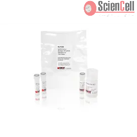 SARS-CoV-2 Multiplex RT-qPCR Detection Kit (SCVMPD)