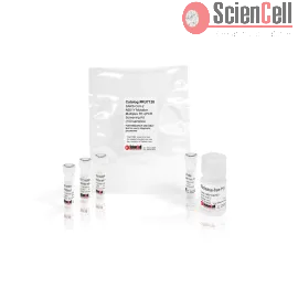 SARS-CoV-2 N501Y Mutation Multiplex RT-qPCR Screening Kit (SCVNY)