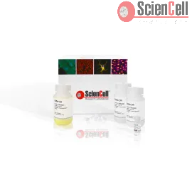 SpeeDNA Gel Extraction Kit (SDGelEx) | Sciencell Research Laboratories