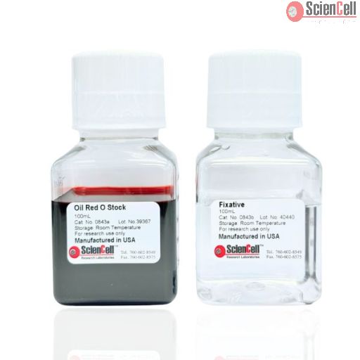 Oil Red O Staining Kit (ORed) | Sciencell Research Laboratories