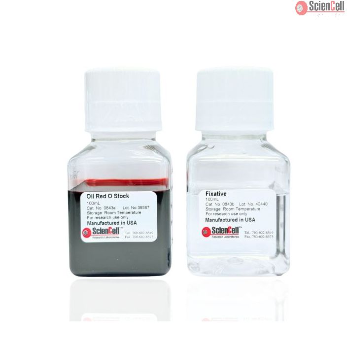 Oil Red O Staining Kit (ORed) | Sciencell Research Laboratories