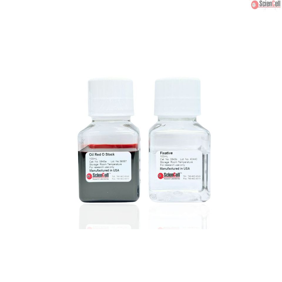 Oil Red O Staining Kit (ORed) | Sciencell Research Laboratories