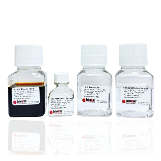 Oil Red O Staining Kit (ORed)