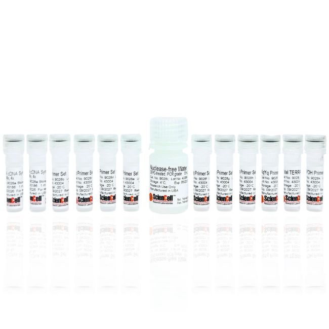 Absolute Human Telomere Length Quantification qPCR Assay Kit (AHTLQ)