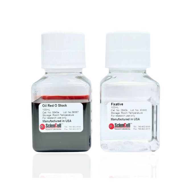 Alizarin Red S Staining Quantification Assay (ARed-Q)